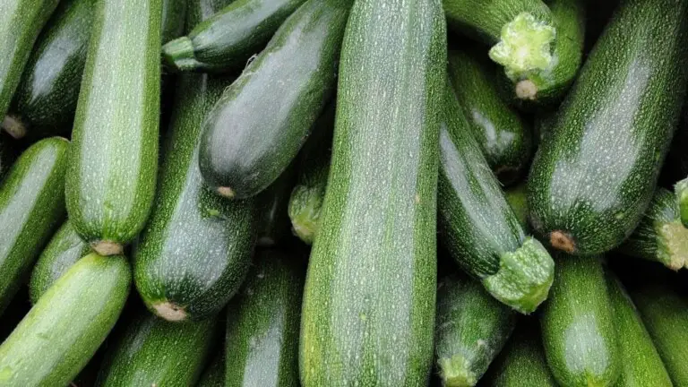 Can You Eat Raw Zucchini? Safety & Nutrition