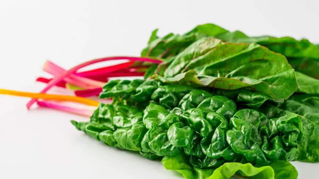 What Are The Nutritional Benefits of Eating Silverbeet? Know Your Greens!