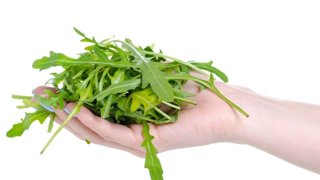 Arugula Seeds: Can You Eat Them?