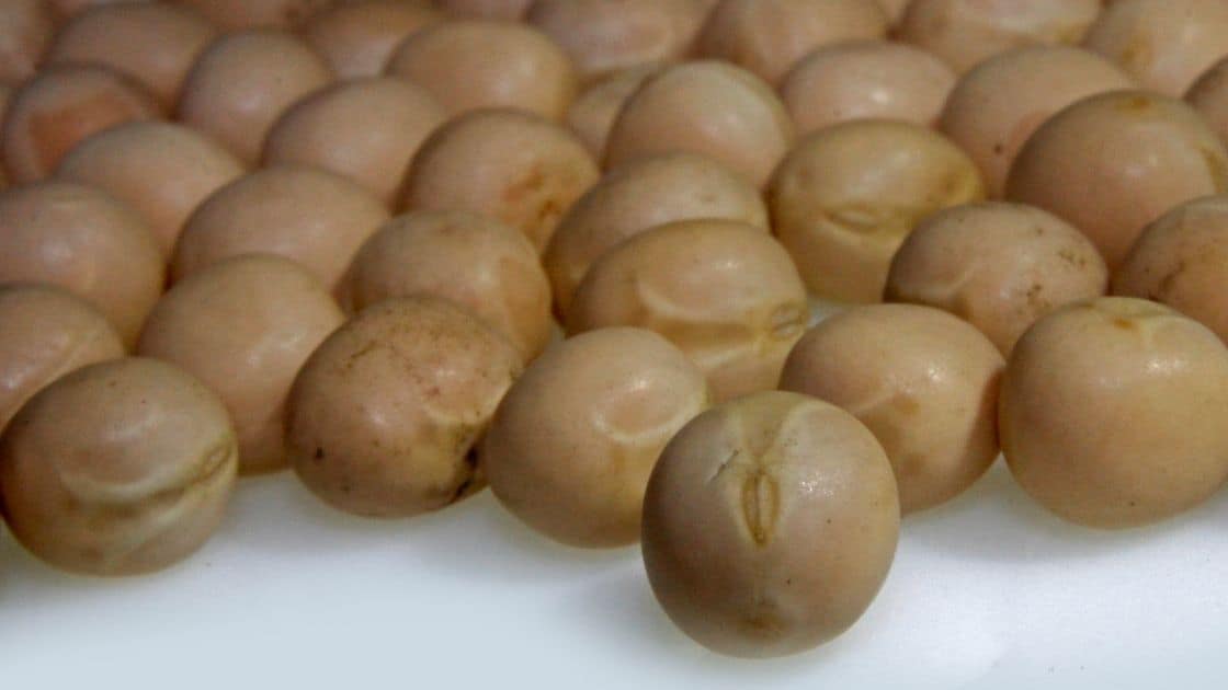 5 Amazing Benefits of White Peas That You Probably Didn't Know!