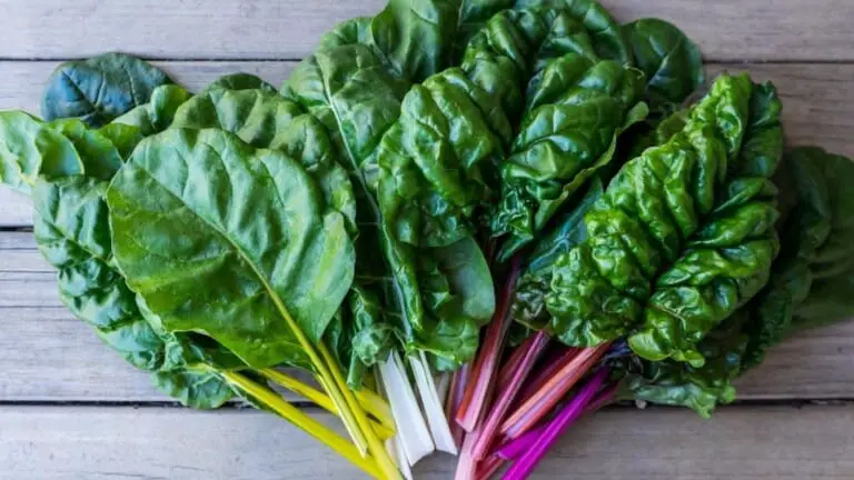 What Are The Nutritional Benefits of Eating Silverbeet? Know Your Greens!