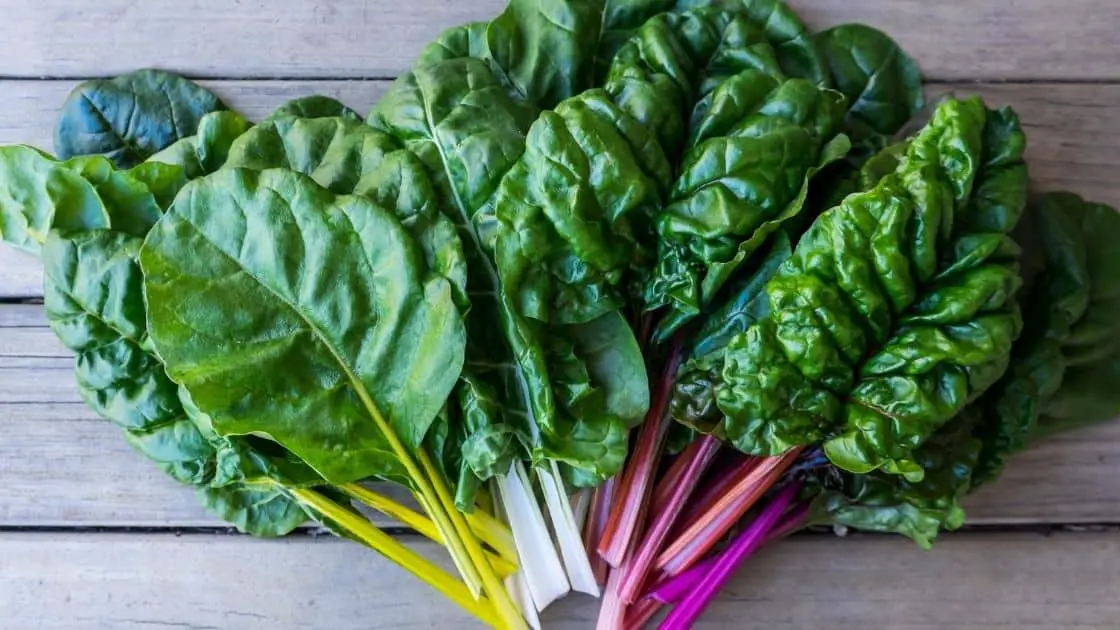 What Are The Nutritional Benefits of Eating Silverbeet? Know Your Greens!