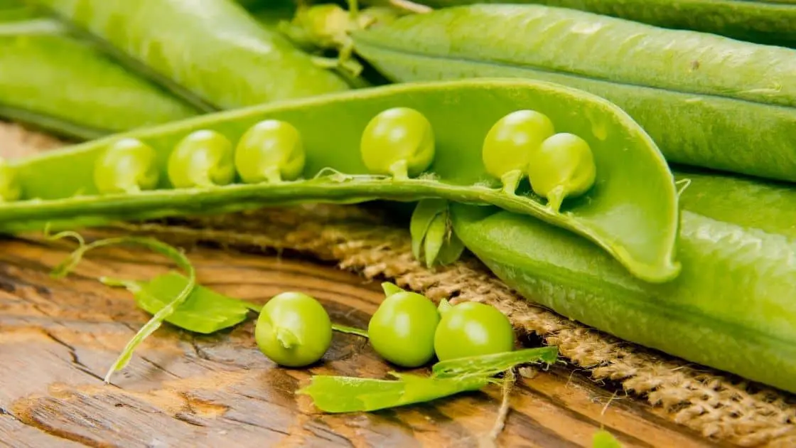 Health & Nutritional Benefits of Eating Pea Pods