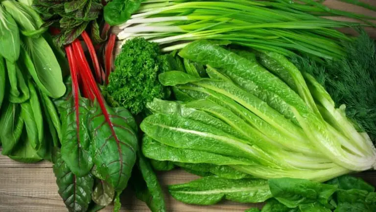 5 MAJOR Reasons Why Green Foods Are Essential For Your Health